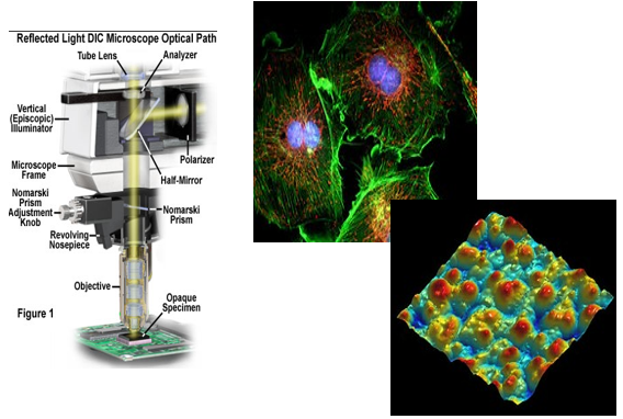 libimgdoc2: Approach and Philosophy: Multi-Level Organization of Microscopy Image Data